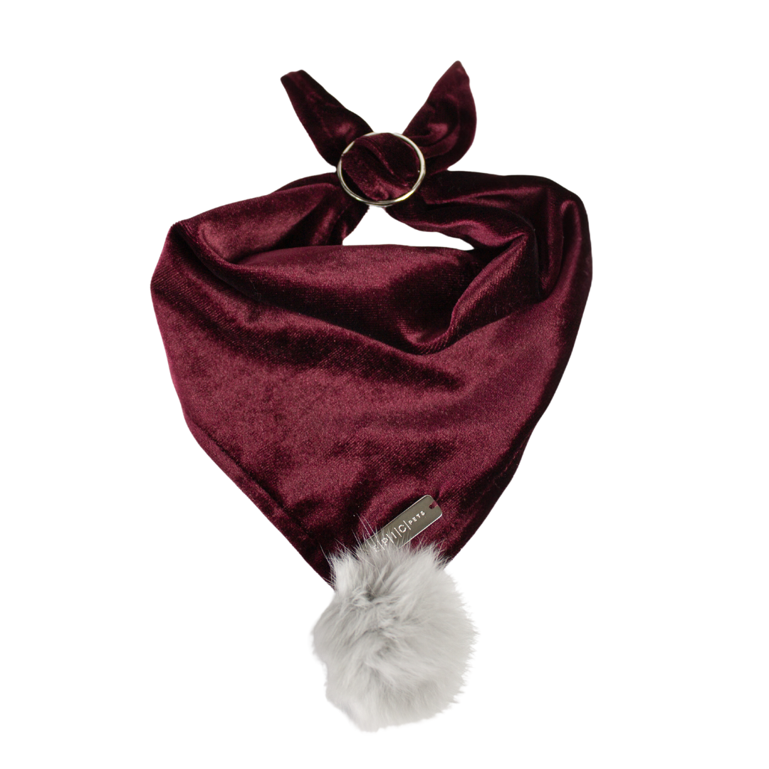 Epic Pets - Your Pet. Your Style. – EPIC PETS