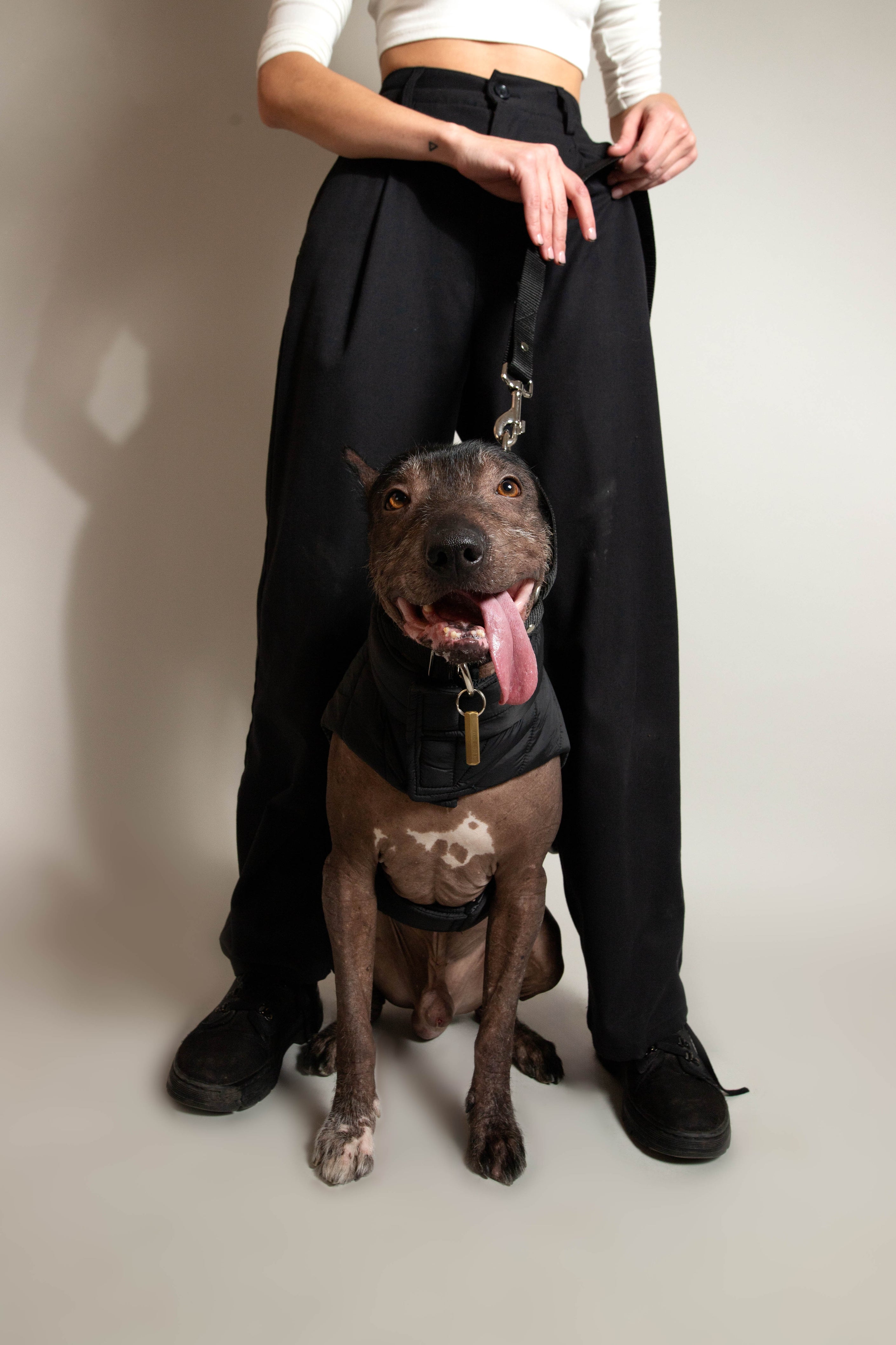 Epic Pets - Your Pet. Your Style. – EPIC PETS