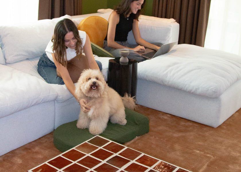 Epic Pets - Your Pet. Your Style. – EPIC PETS
